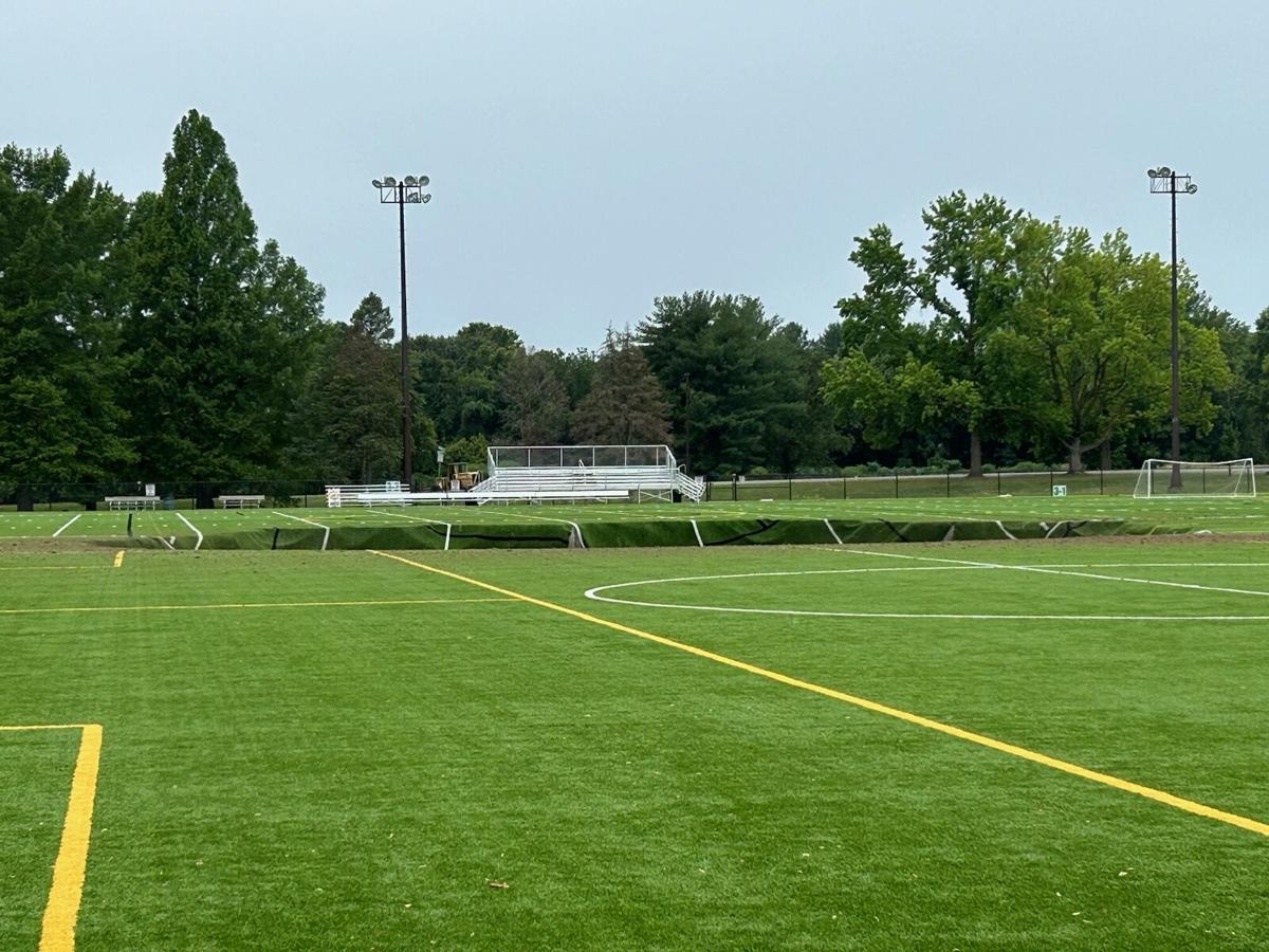 Gordon Moore Park to get loan, but not for sinkhole | Local News ...