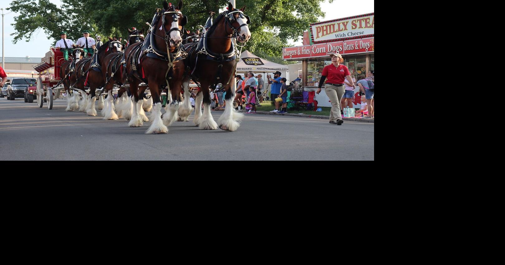 DuQuoin State Fair announces entertainment | Local News | advantagenews.com