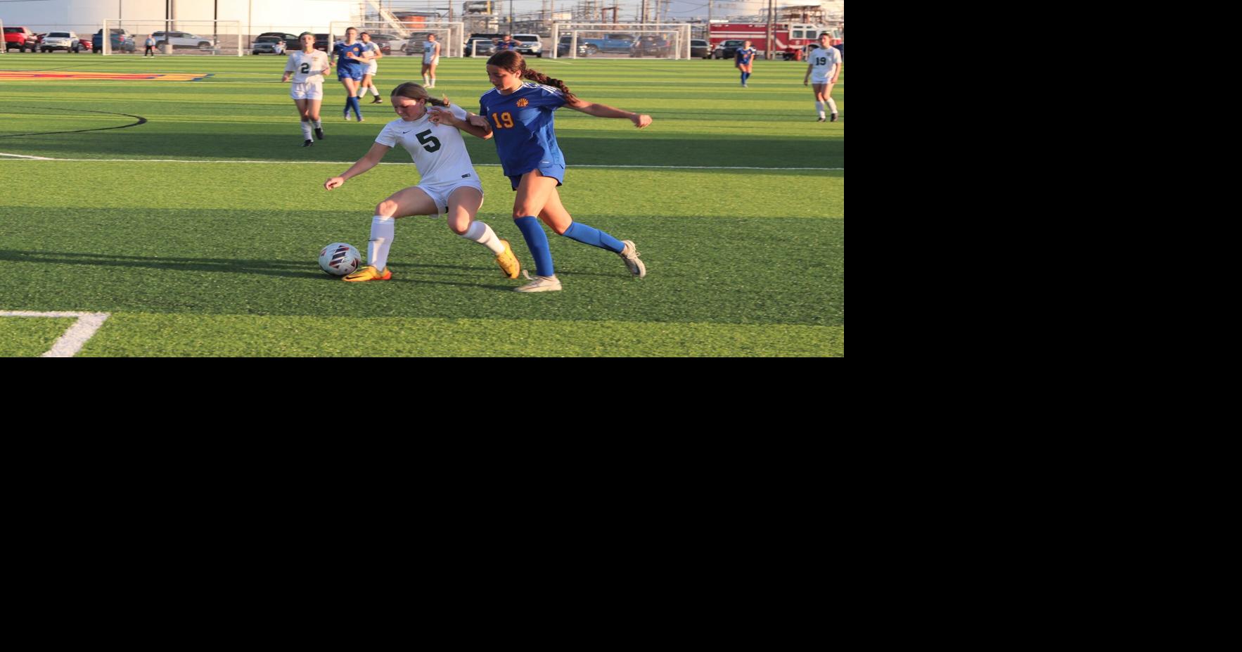 PHOTOS: Roxana 7, MELHS 0 girls soccer regional at Roxana | Sports ...