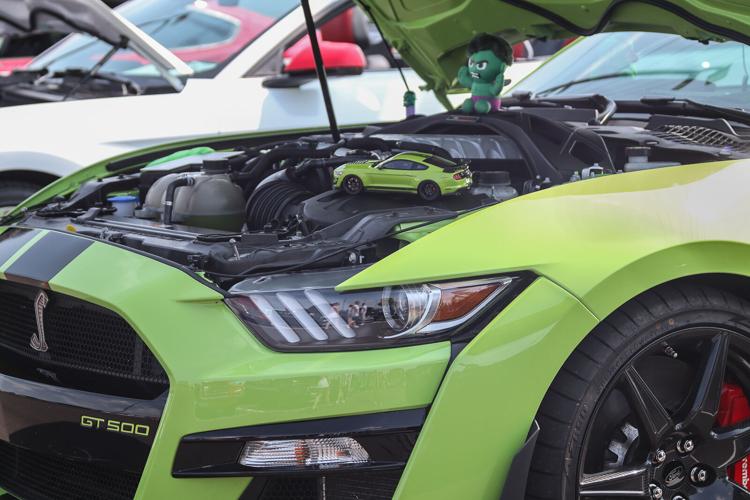 Gallery: 46th Mustang Round Up | Riverbend In Focus | advantagenews.com