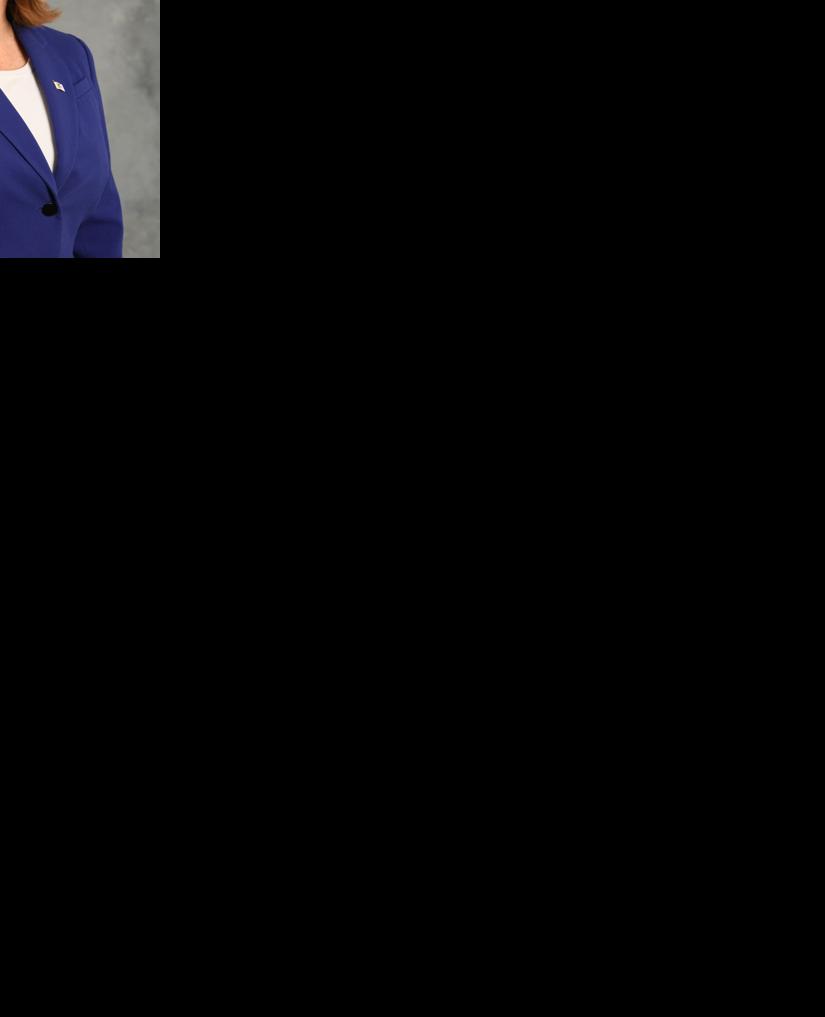 Elik appointed Assistant House Republican Leader | Local News ...