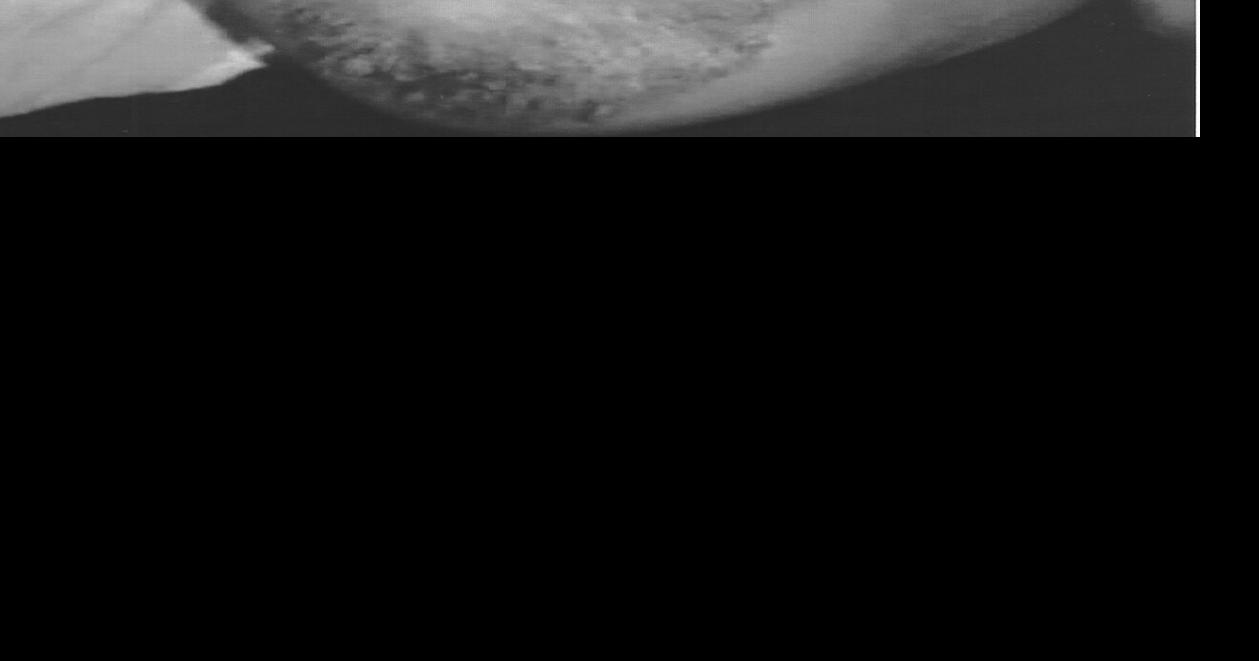 Eric Harrington | Obituaries | advantagenews.com