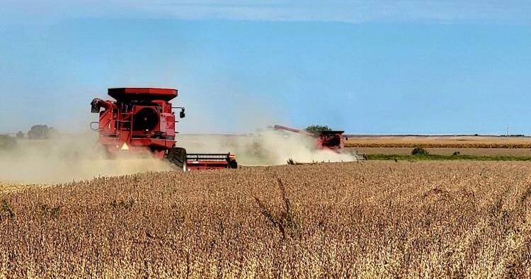 2023 Soybean Report is average | Local News | advantagenews.com
