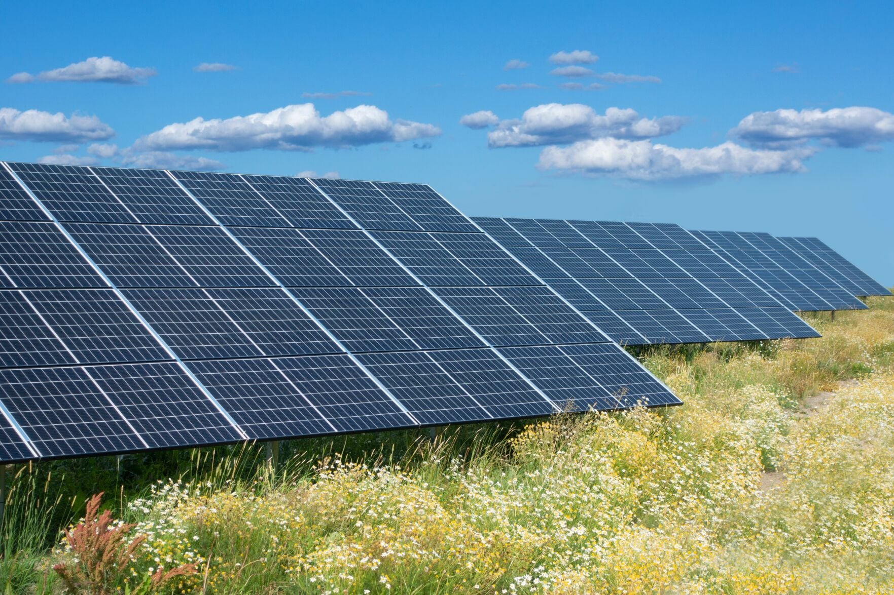 No solar project in Glen Carbon for now | Local News | advantagenews.com