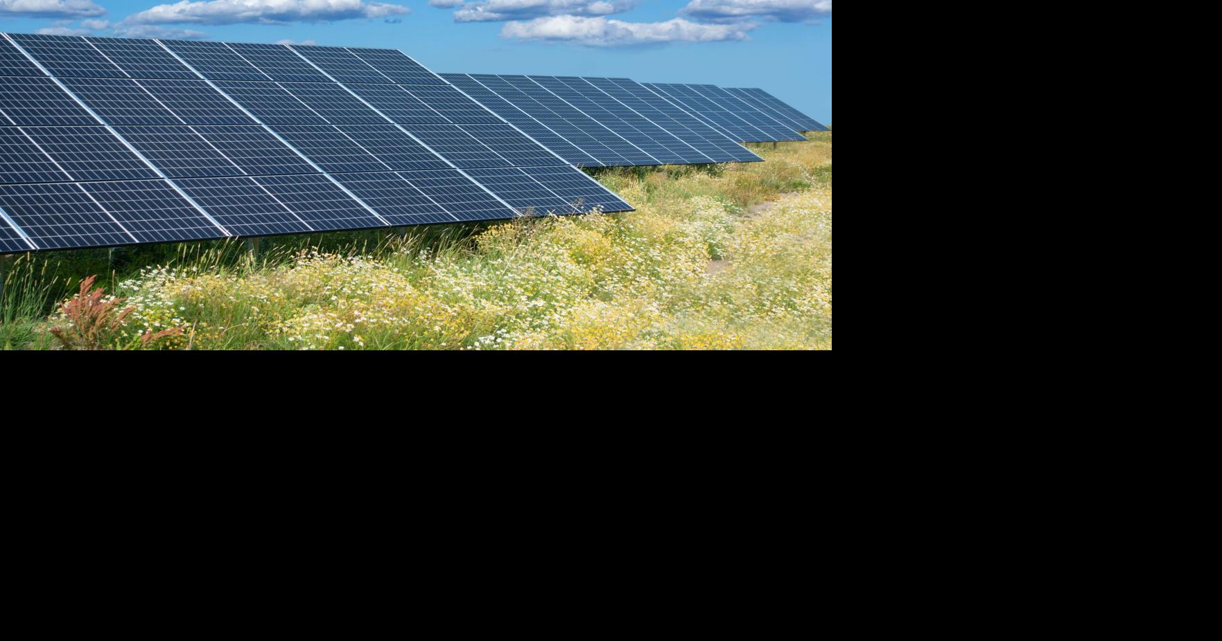 Board approves another solar farm | Local News | advantagenews.com