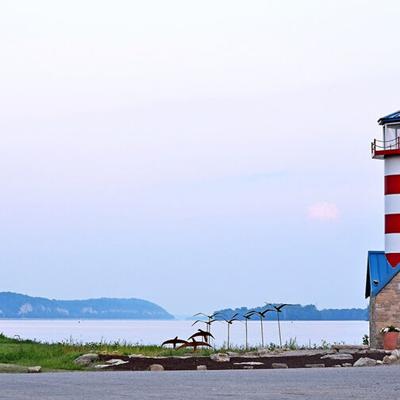 Grafton Ferry to reopen today | News | advantagenews.com