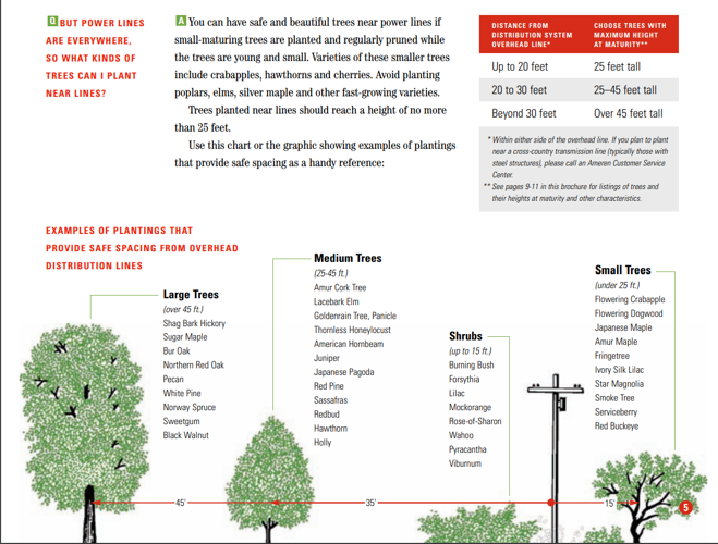 Ameren reminds public of tree-planting and digging guidelines | Local ...