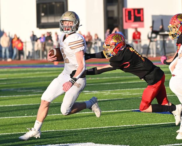 PHOTOS: Mt. Carmel Golden Aces @ Roxana Shells - Class 3A state ...