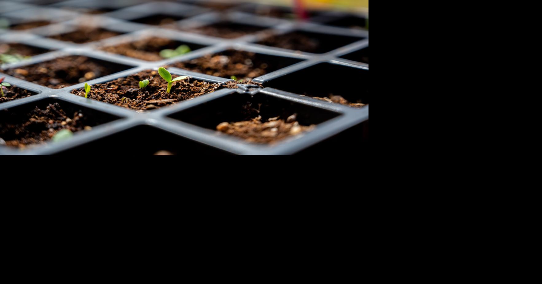 Getting ready to garden | Local News | advantagenews.com