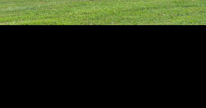 Jake Ringering Memorial Highway dedicated | Local News | advantagenews.com