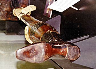 Texas makes play for Santa Anna’s leg | News | advantagenews.com