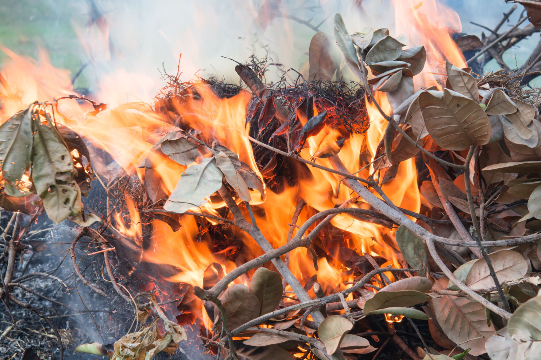 Fall leaf burning reminder | Local News | advantagenews.com