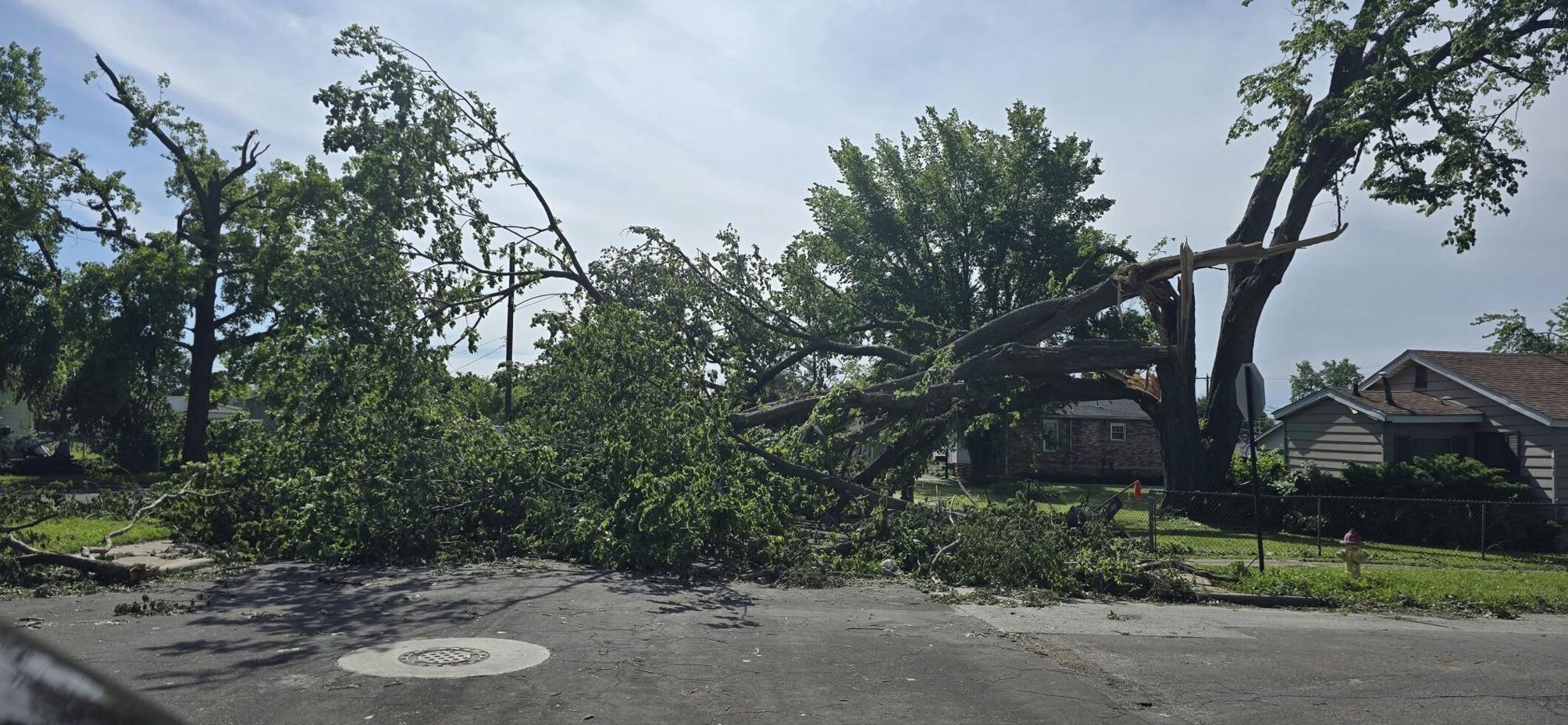 Storm response continues in Granite City | Local News | advantagenews.com