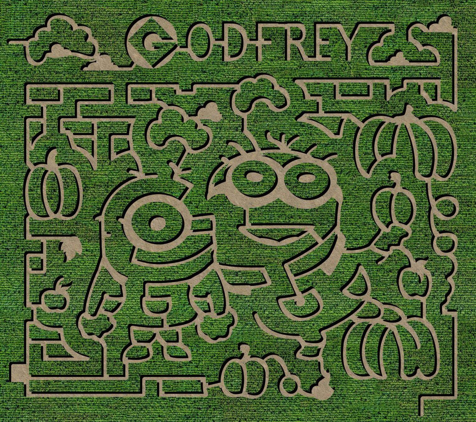 Great Godfrey Maze opens today | Local News | advantagenews.com