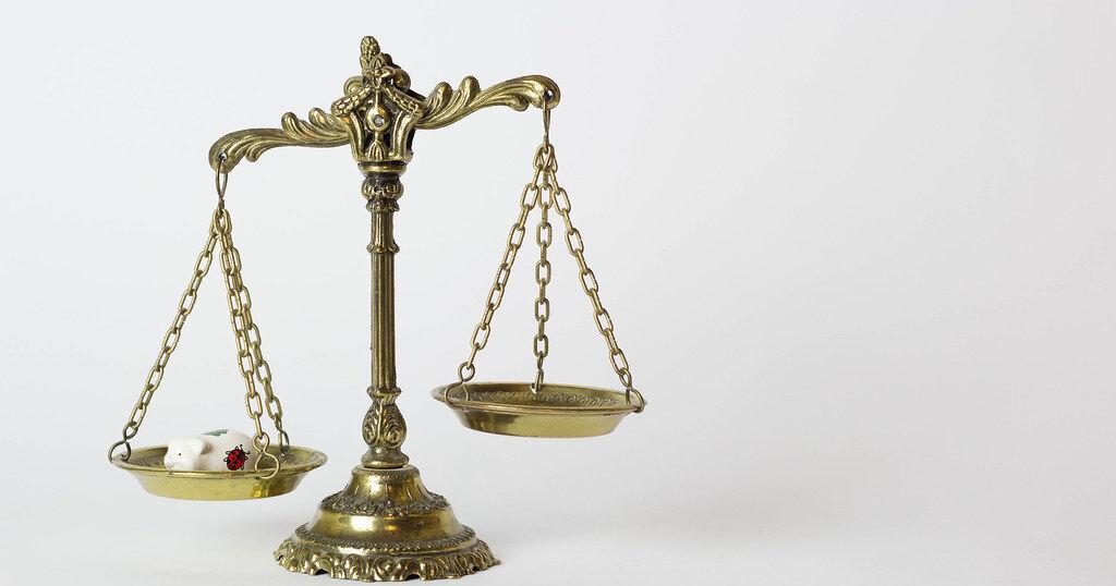 Two Associate Judges elected to 20th Judicial Circuit | Local News ...