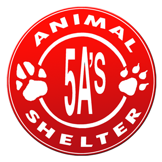 5A's shelter holding Putts for Paws golf scramble | Local News ...