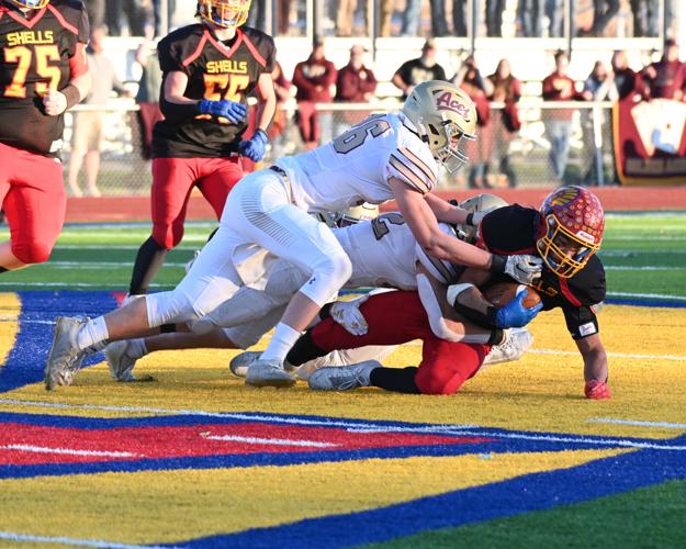 PHOTOS: Mt. Carmel Golden Aces @ Roxana Shells - Class 3A state ...