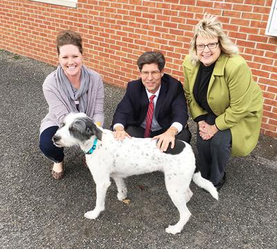 Madison County Animal Shelter moving closer to no-kill status | News ...