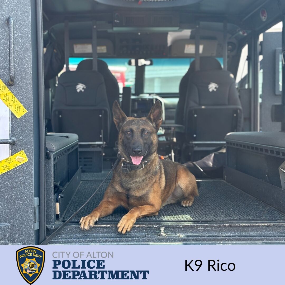 Alton Police Department’s K9 Rico to get donation of body armor | Local ...
