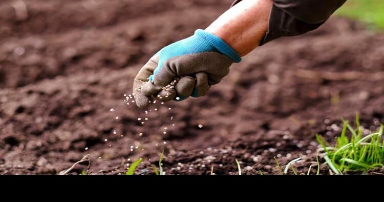 USDA unveils a $500 million stimulus program for domestic fertilizer ...