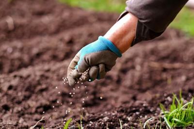 USDA unveils a $500 million stimulus program for domestic fertilizer ...