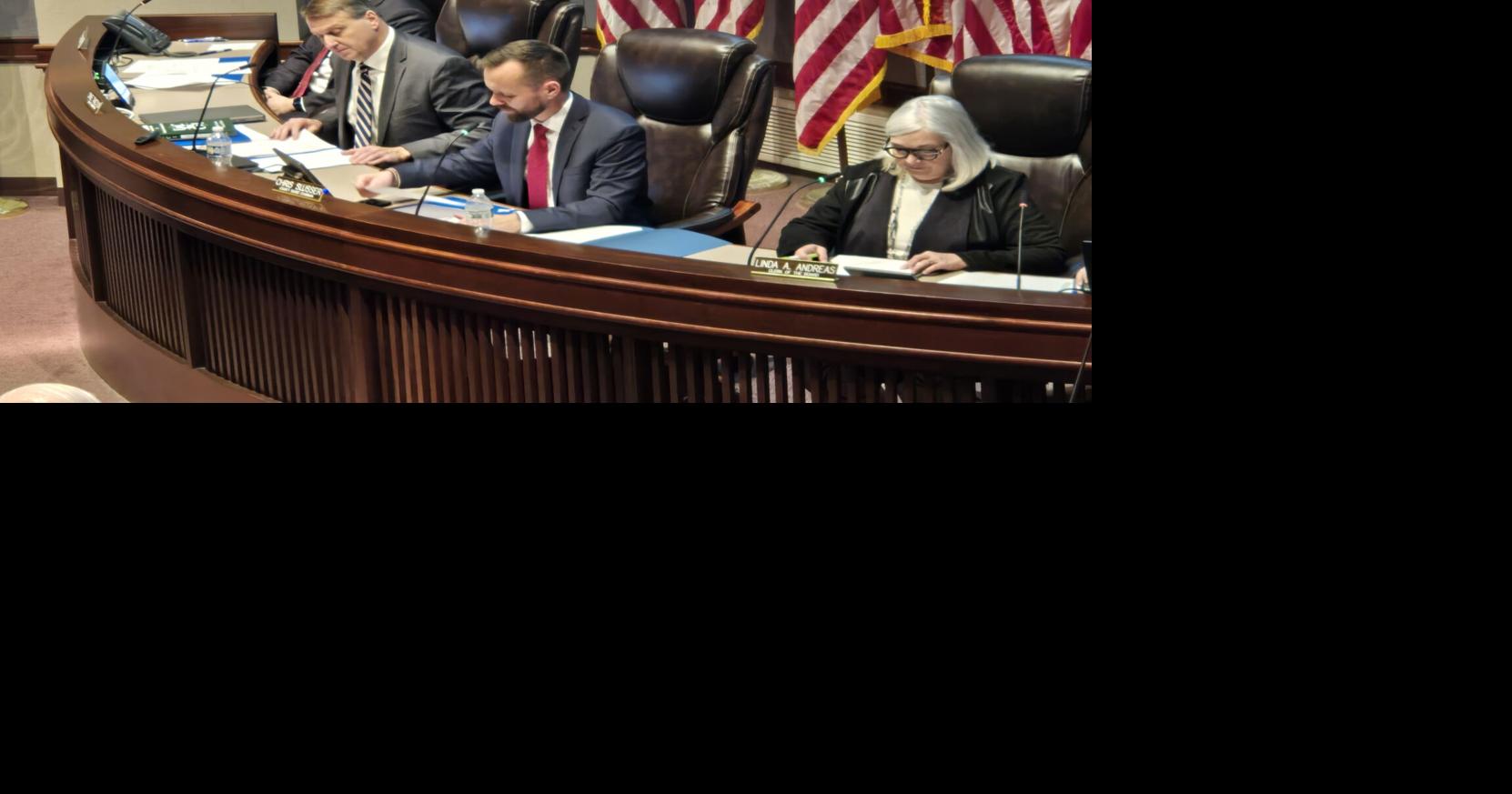New Madison County Board Chair charts course for 2025 | Local News ...