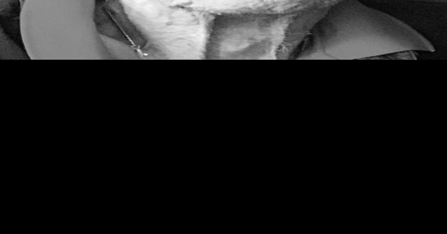 George M. Lammers | Obituaries | advantagenews.com