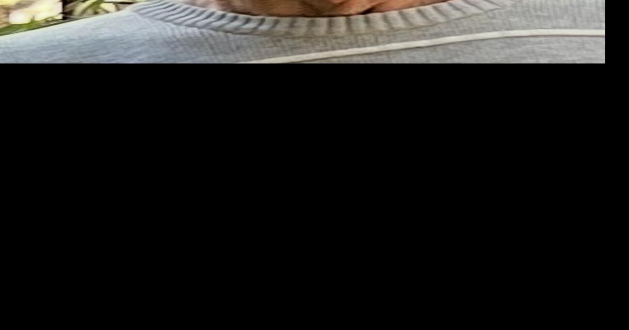 Larry Pollard | Obituaries | advantagenews.com