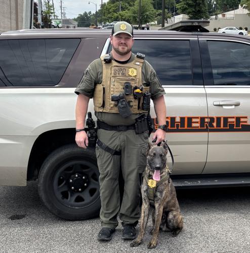 Tree traps deputy in big storm | News | advertisergleam.com