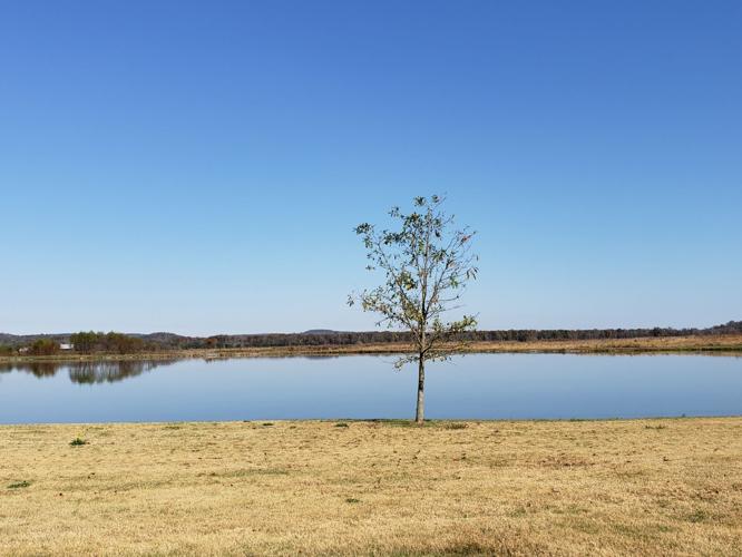 New owners for Dream Ranch | News | advertisergleam.com