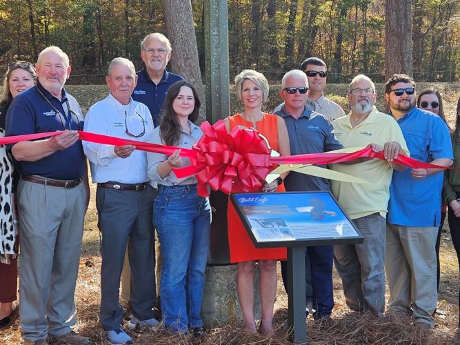 New bird signs in the city park | News | advertisergleam.com