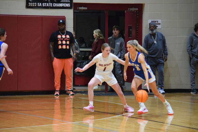 Lady 'Cats hold ground versus Arab | | advertisergleam.com