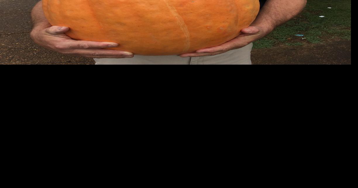 A 50-lb. pumpkin on his first try | News | advertisergleam.com