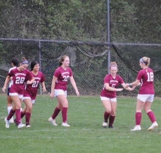 Girls Soccer – Lady ‘Cats score lots in area wins | Sports ...