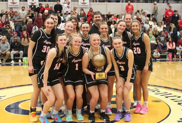 Lady 'Cats fall to A'ville in co. | Sports | advertisergleam.com