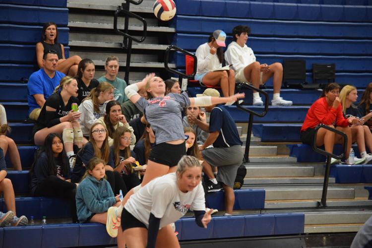 A great day for DAR volleyball | Sports | advertisergleam.com