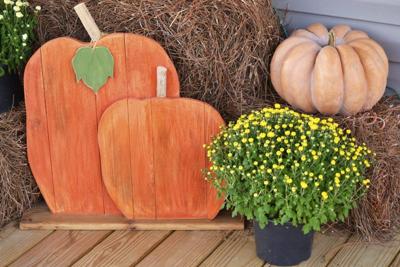 Farm & Home - Fall mums: A survival guide | Columnists ...