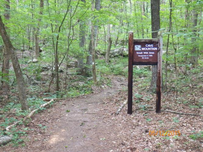 TVA encourages people to avoid cave | News | advertisergleam.com