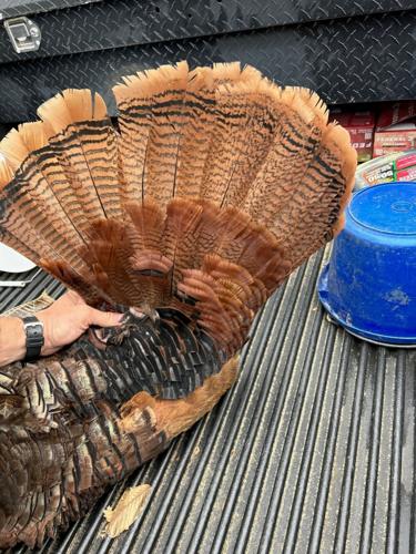 Outdoors – Rare red phase turkey for Garrett | Sports | advertisergleam.com