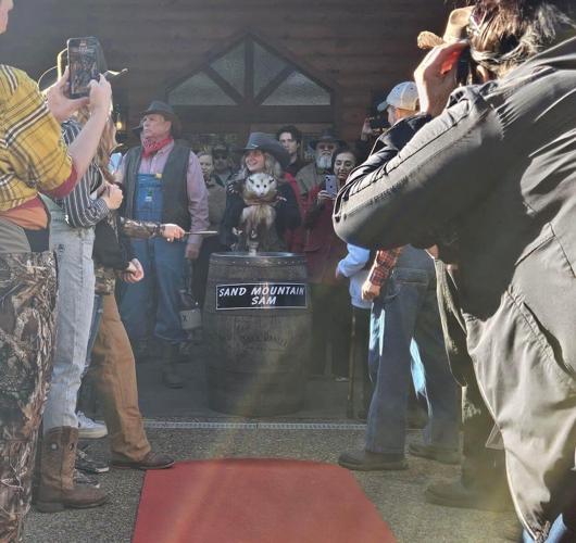 Sand Mtn. Sam calls early spring | Local News | advertisergleam.com