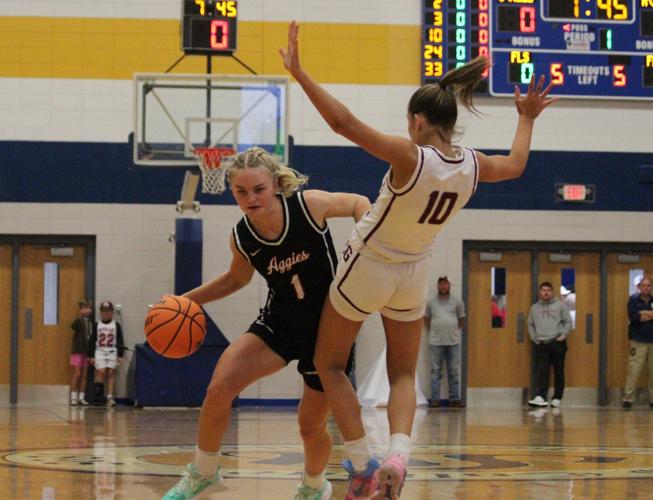 Lady 'Cats fall to A'ville in co. | Sports | advertisergleam.com