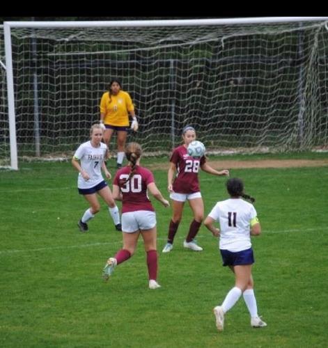 Girls Soccer – Lady ‘Cats score lots in area wins | Sports ...