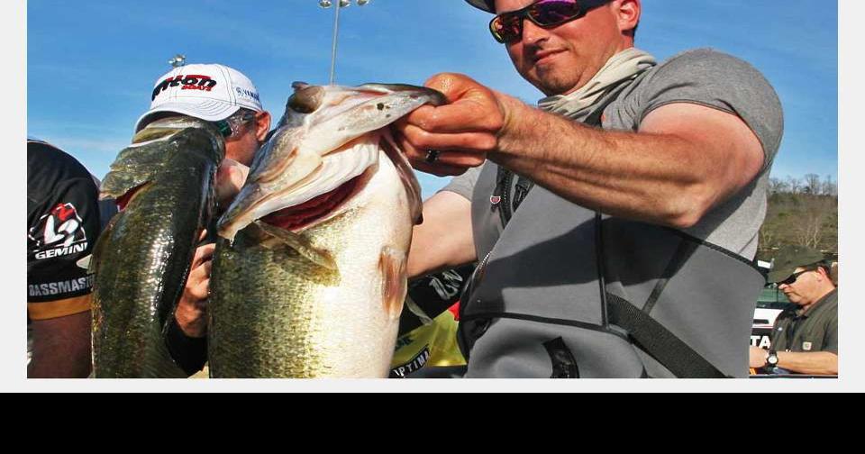 Davy Hite: Records Could Be Broken | News | advertisergleam.com