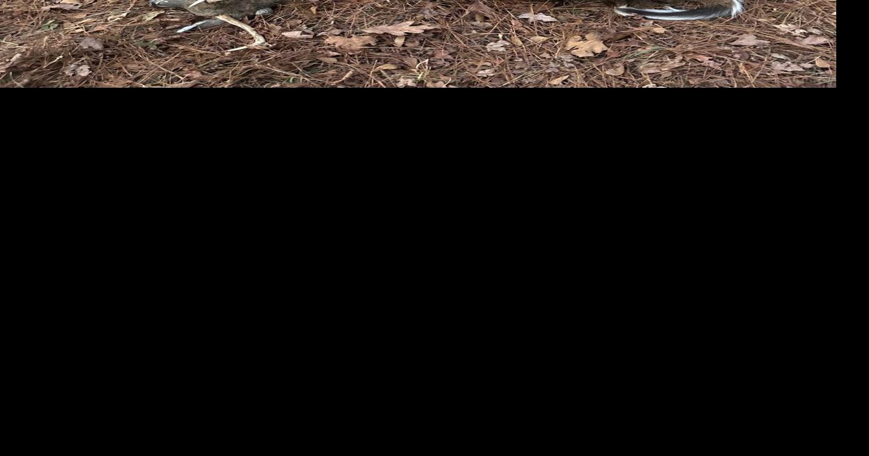 Outdoors - The best Christmas present ever | Sports | advertisergleam.com