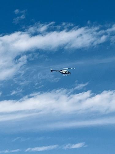 Lake claims life at Honeycomb | News | advertisergleam.com