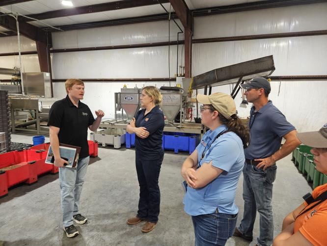 Agriculture - Growing larvae to feed poultry | News | advertisergleam.com