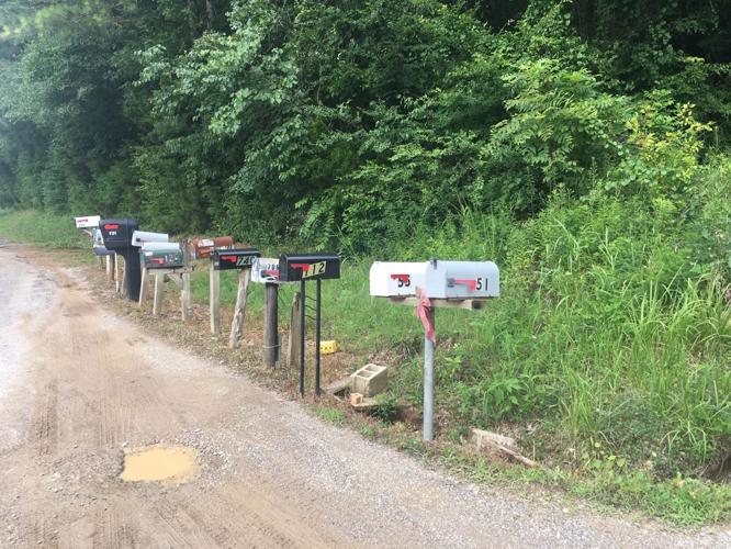 Shin Pt. issue goes to governor | News | advertisergleam.com