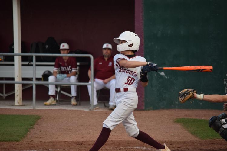 Baseball - Split decision for JV Wildcats | News | advertisergleam.com