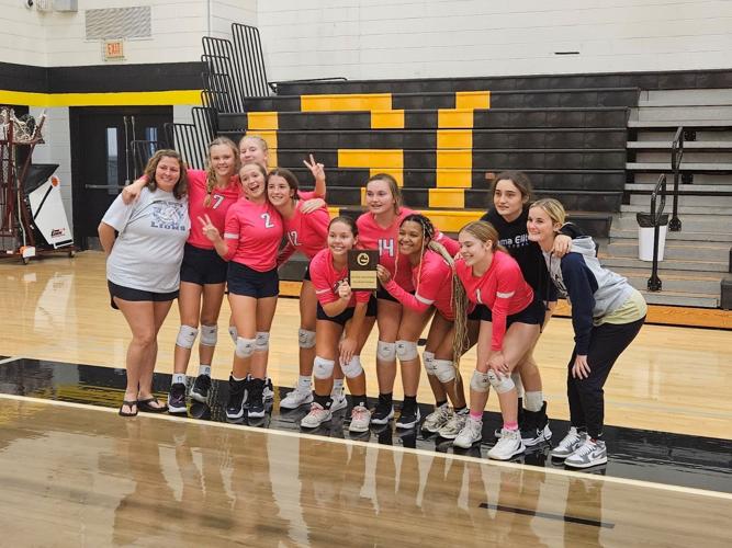 Volleyball - Brindlee wins silver bracket | Sports | advertisergleam.com