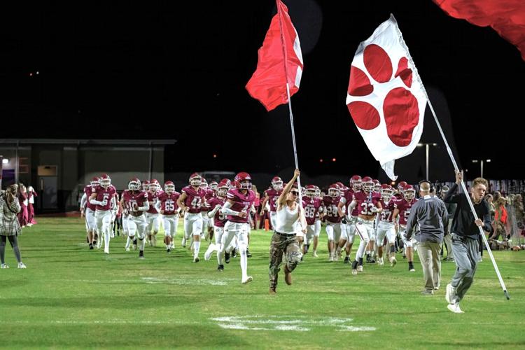 'Cats send message in first round | Sports | advertisergleam.com